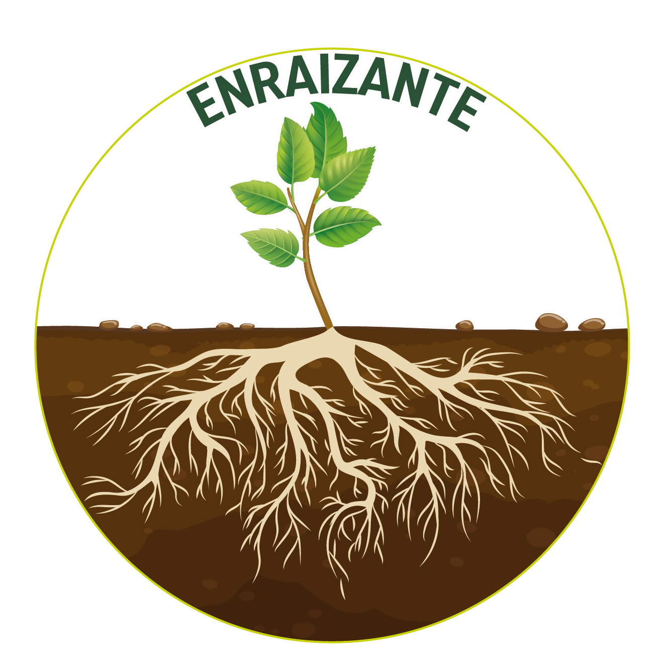 NUTRI-AKTIV ALGAE PLUS - SPACHEM