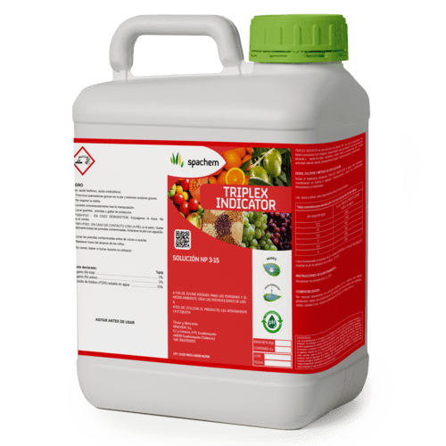 TRIPLEX INDICATOR - SPACHEM
